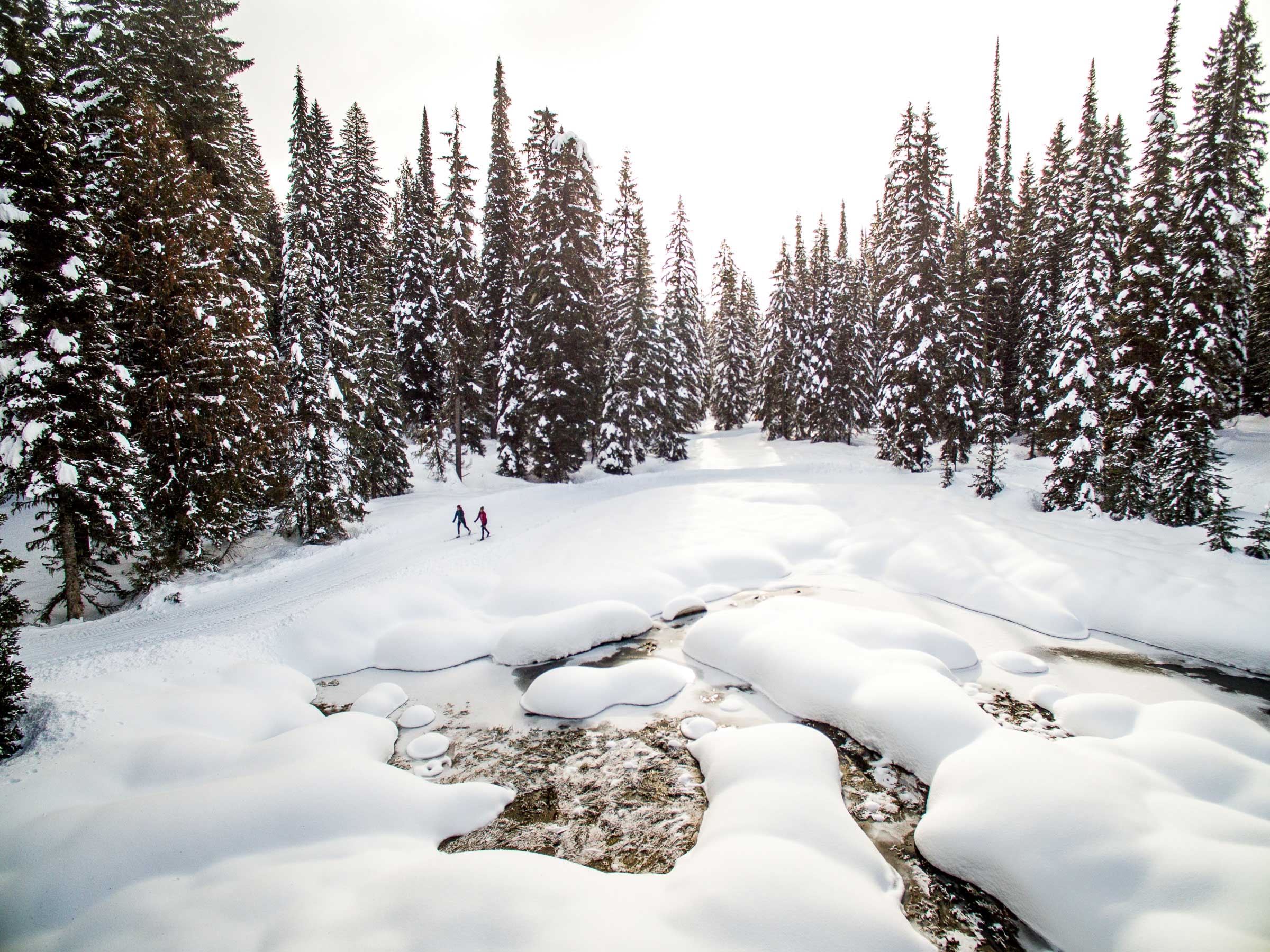 Nordic Skiing 101: Get out sliding in Fernie this winter