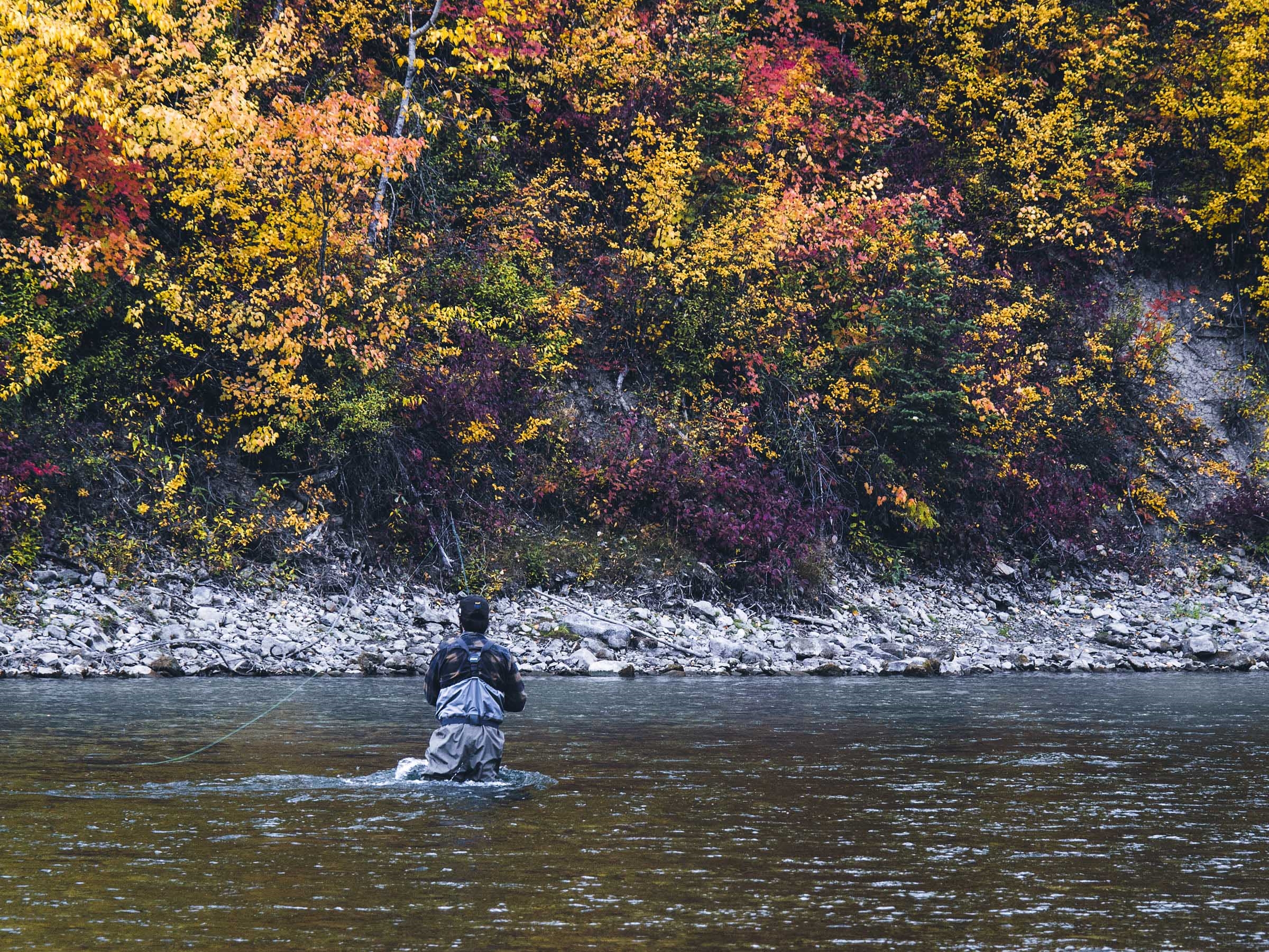Fishing in Fall, Fernie, BC
